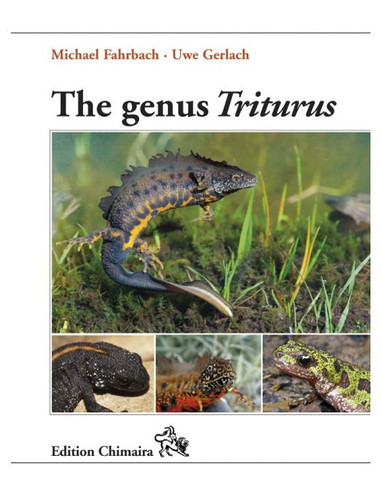 The Genus Triturus | natureforyou
