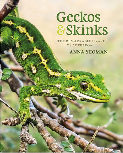 Geckos & Skinks The remarkable lizards of Aotearoa | natureforyou