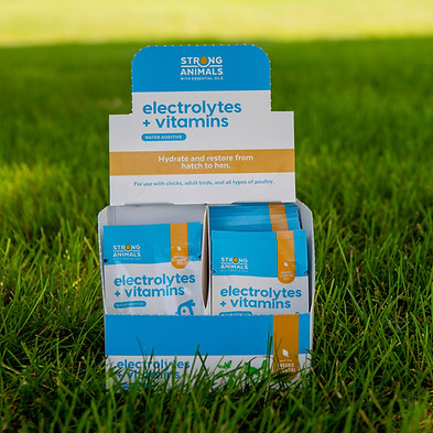 Electrolytes & Vitamins | Strong Animals Chicken Essentials