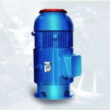 Motor vertical de eje hueco | Profluh