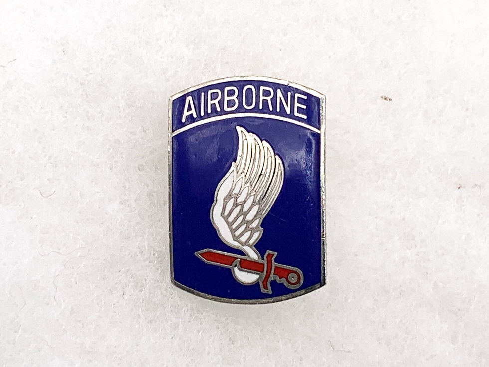 US Army 173rd Airborne Brigade Pin | Foxhole Militaria US Army 173rd Airborne Brigade Pin | Foxhole Militaria
