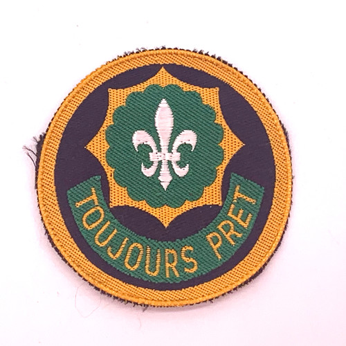 Theater Made 2nd Cavalry Regiment Insignia, Cold War | Foxhole Militaria