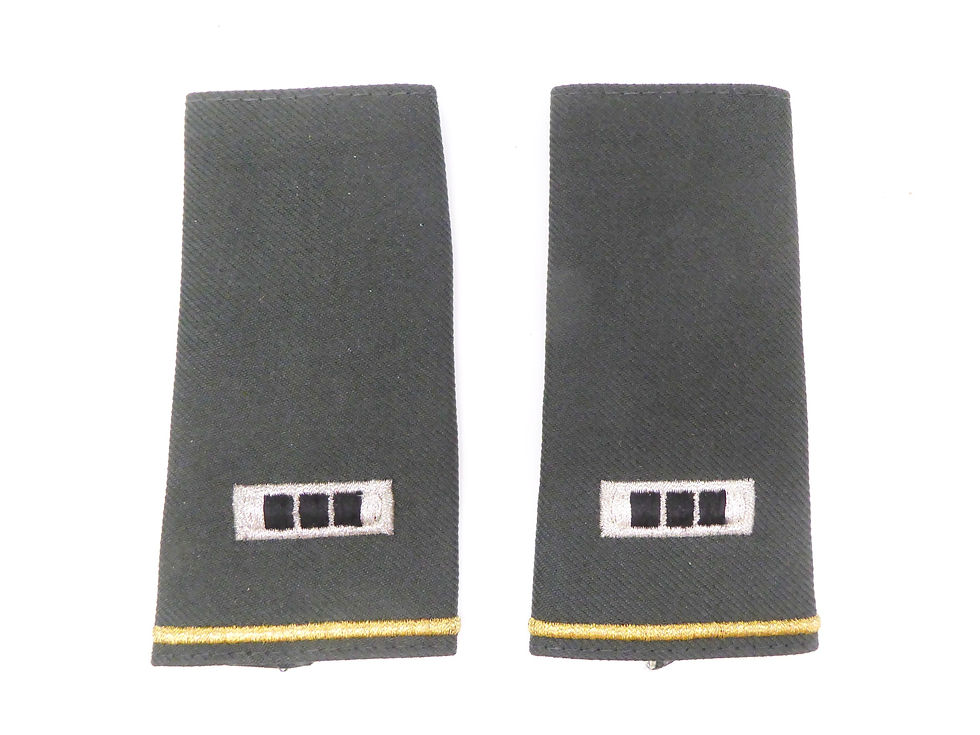 Warrant Officer CW3 Rank Insignia, Vietnam era | Foxhole Militaria