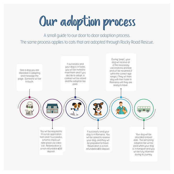 Our Adoption Process | Rocky Road Rescue