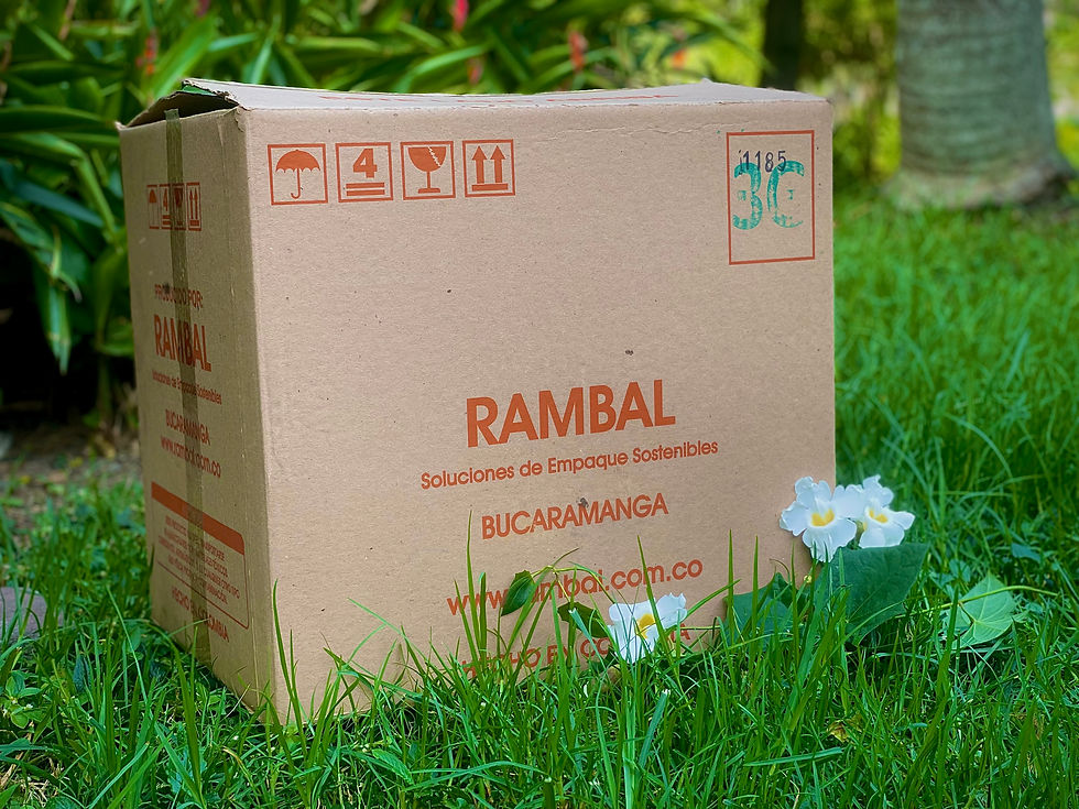 CAJA TIPO RAMBAL GRANDE | Cooperambiente Eco E