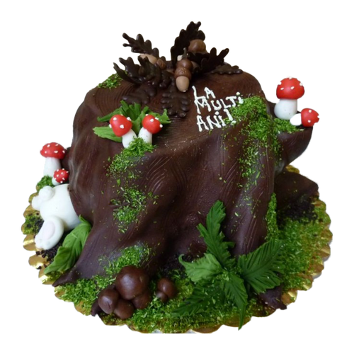 Tort trunchi de copac | Dolce Principessa