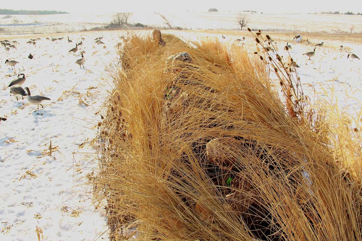 faststrikeblinds | WATERFOWL