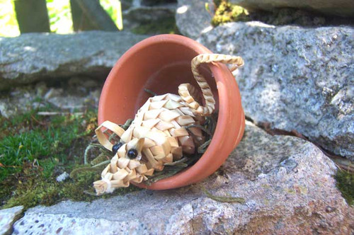 Mouse in Flower Pot | Something Corny