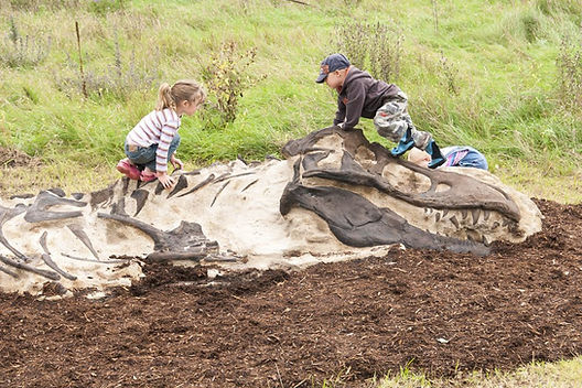 paleontologist digging