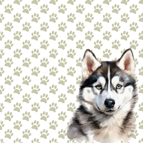 Siberian Husky Scrapbook Paper 12x12 | scrappineverymemory