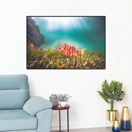 Hog Fishon Reef | Bimini Lures