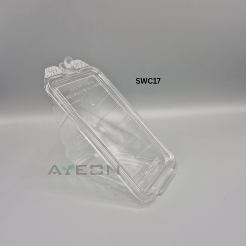 Triangular Sandwich Hinged Container | Ayeon Supply