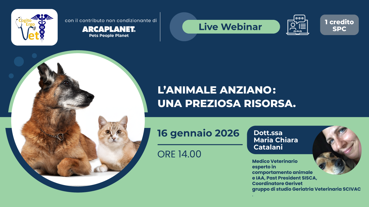 Diabete Novità - 21 01 2026 | Cogito Ergo Vet