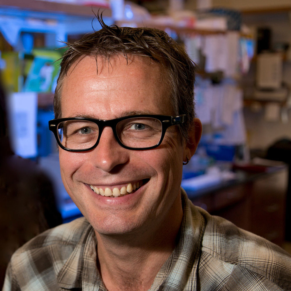 Boris appointed to chaired professorship