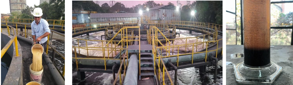 Specialized Bacterial Bio culture for Waste Water treatment plants