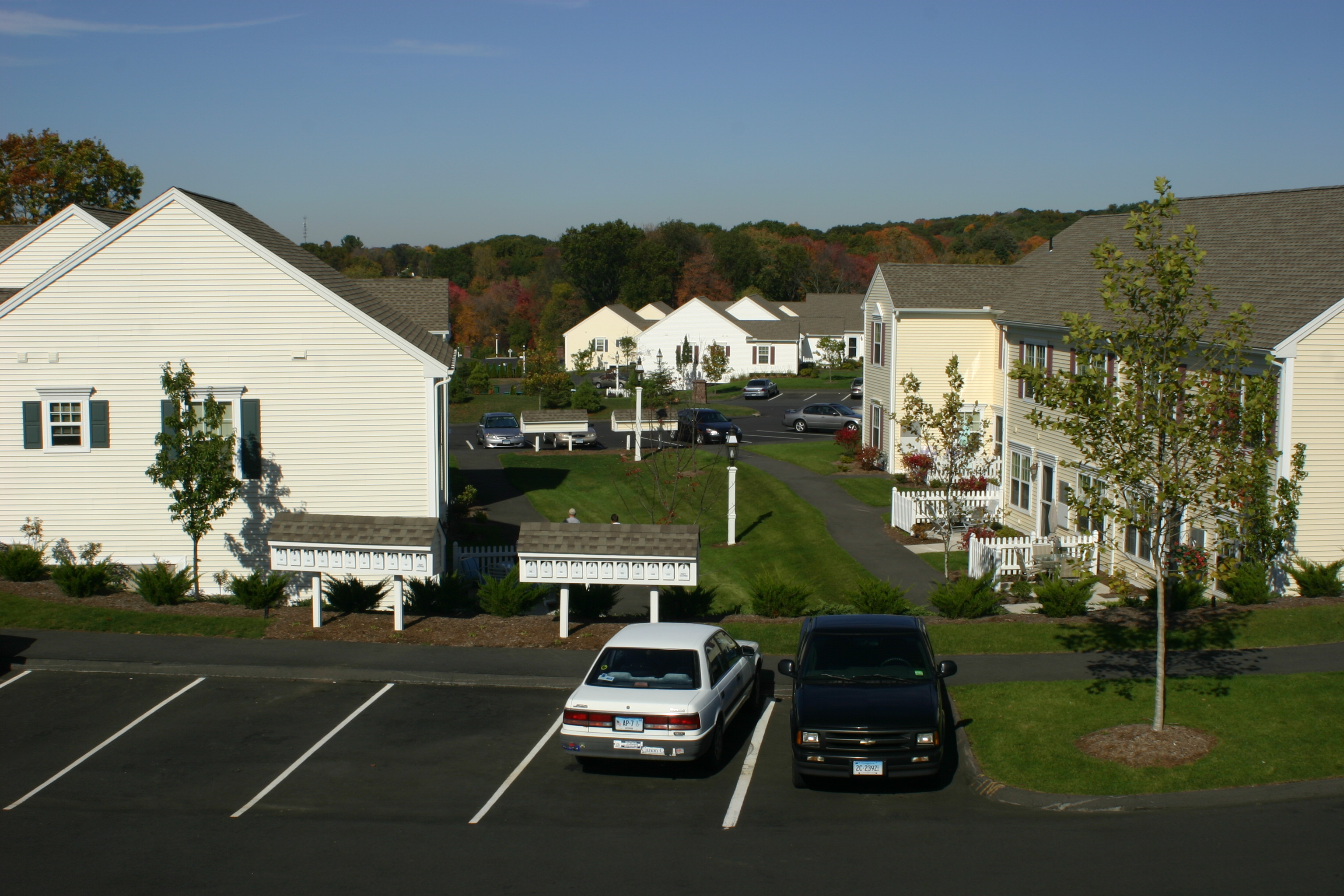 Design Professionals | Connecticut | Berry Patch