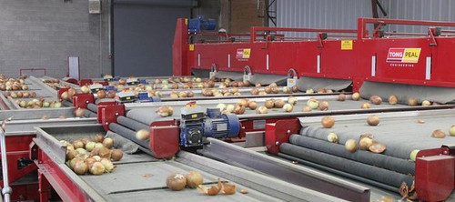 Vegetable Conveyors | Snap Equipment