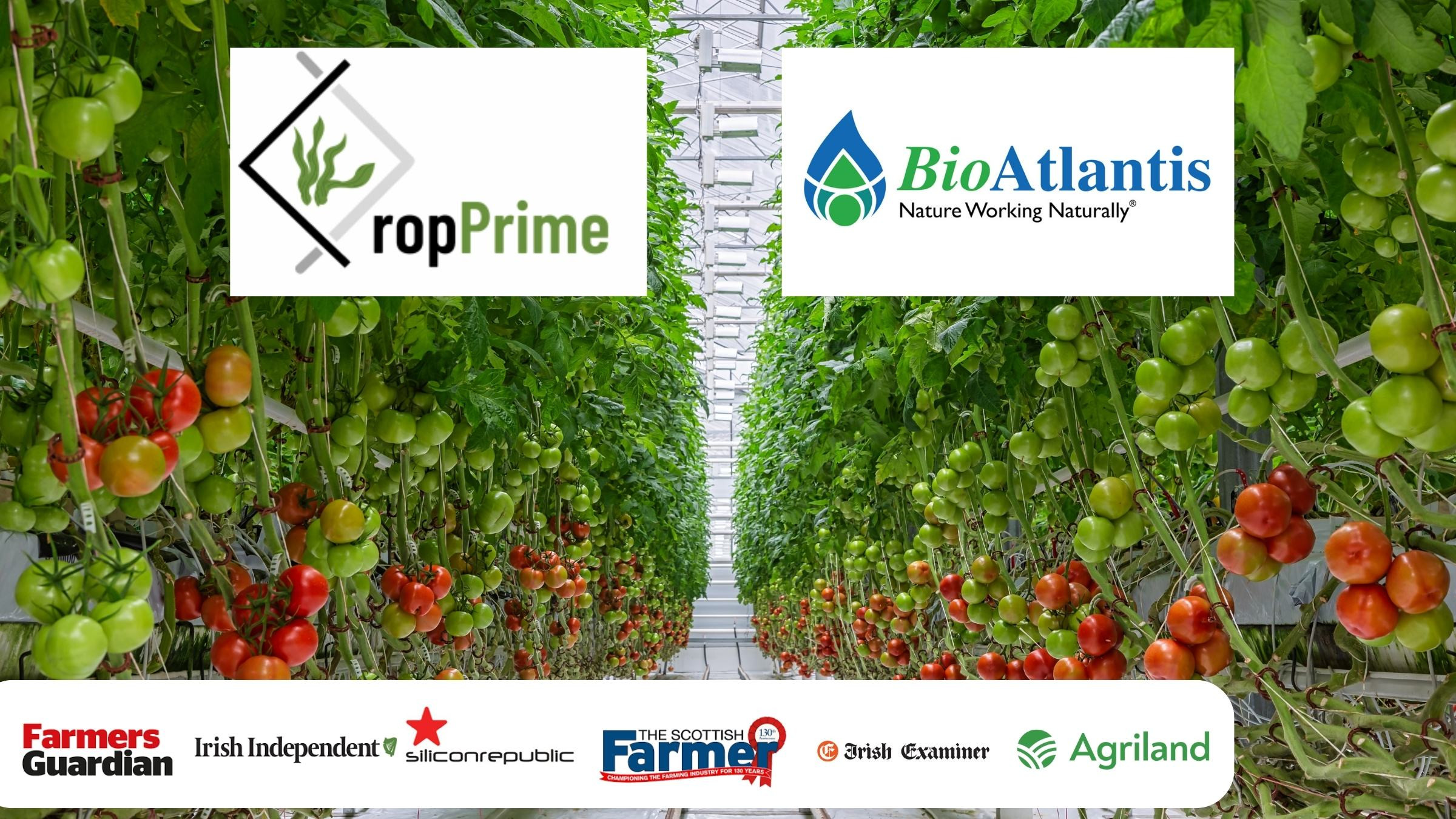 BioAtlantis News Section