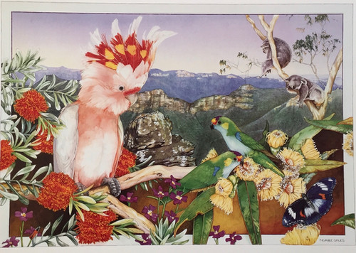 Ngaire Sales, Major Mitchell | delightful-prints