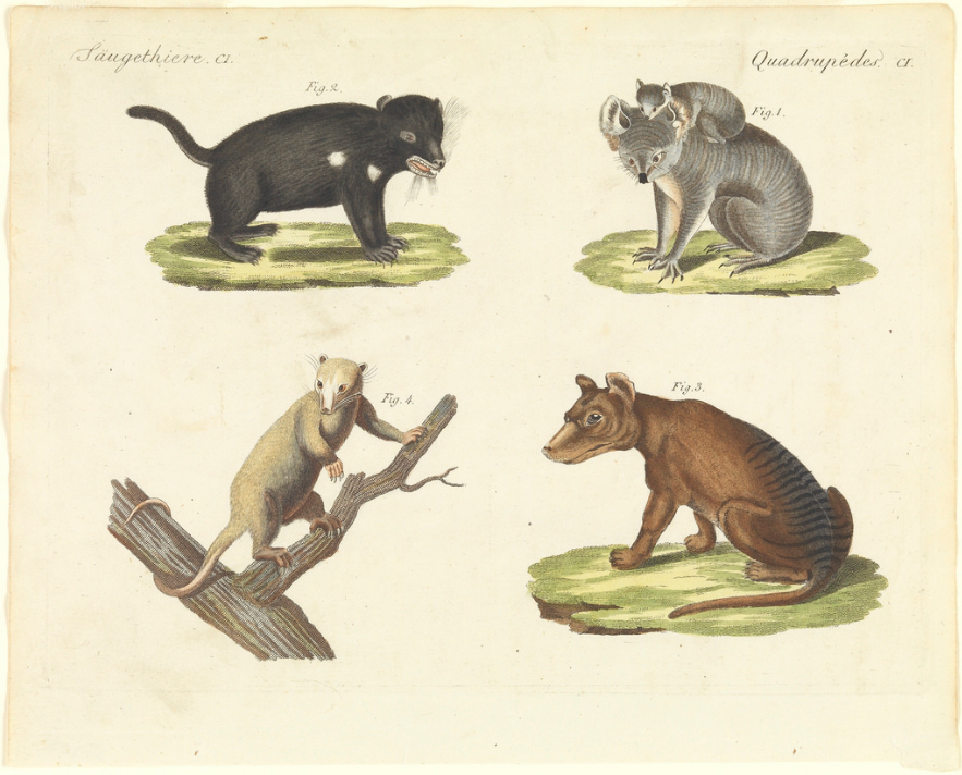 Art of the Early Explorers