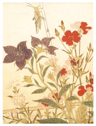 Utamaro, Insects and Flowers, 1788 | delightful-prints
