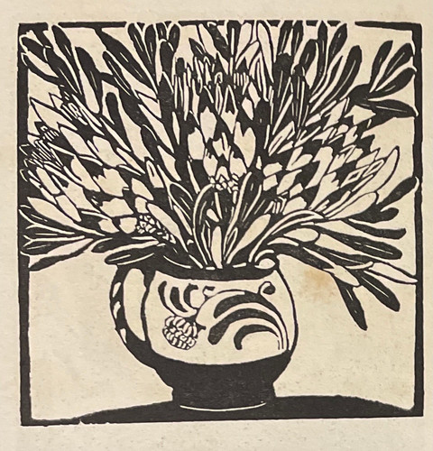 Margaret Preston, Waratahs 1925 woodcut reproduction | delightful-prints