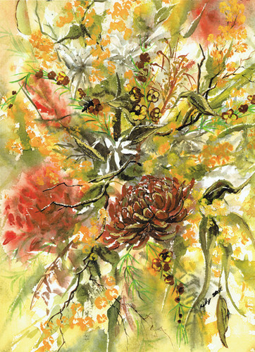 Kathy Shell, Australian Wild Flowers | delightful-prints