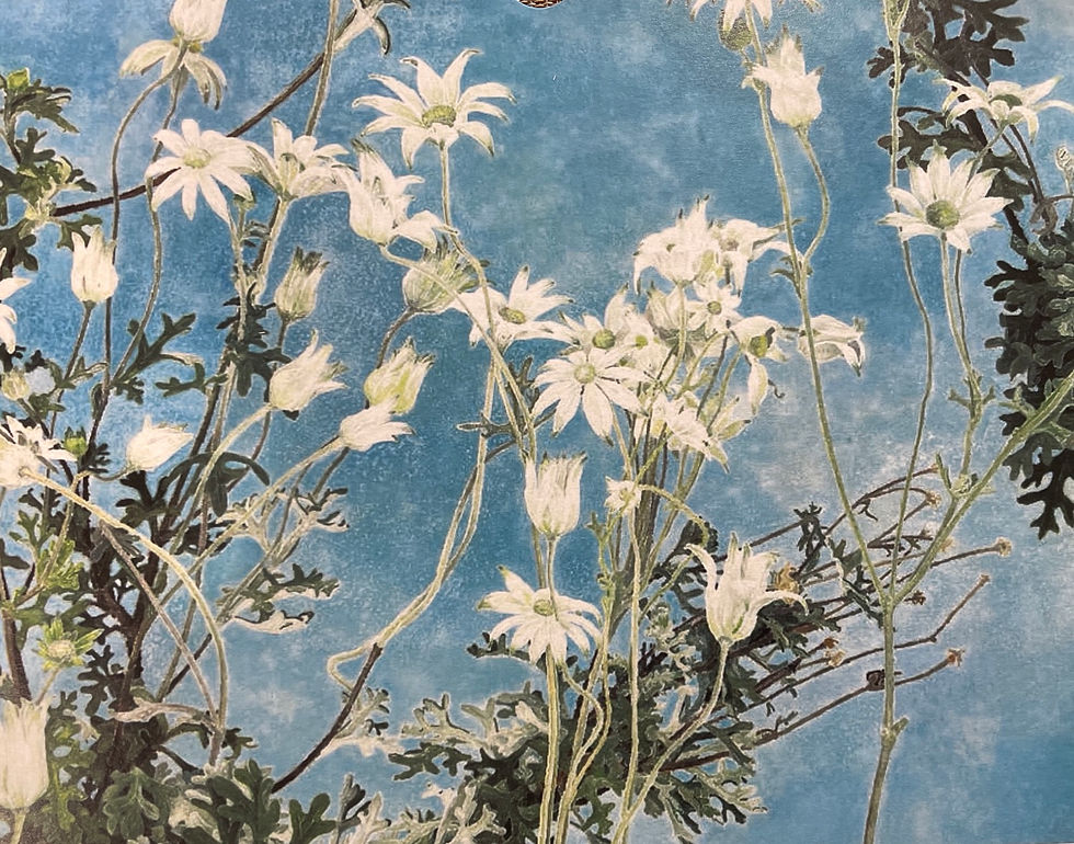 Cressida Campbell, Flannel Flowers (detail) | delightful-prints