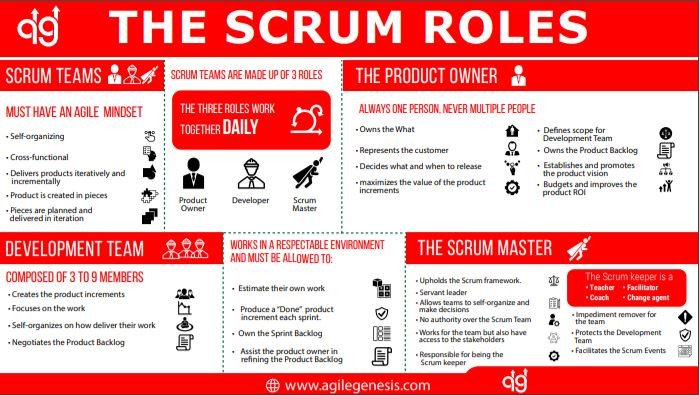 The Scrum Roles Poster