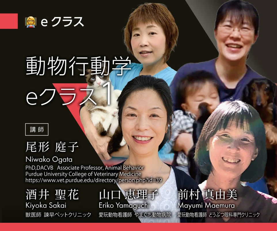 👩‍🏫 eクラス｜尾形Dr./酒井Dr./前村/山口 愛玩動物看護師の動物行動学eクラス1 | VSJ CORE & ONE