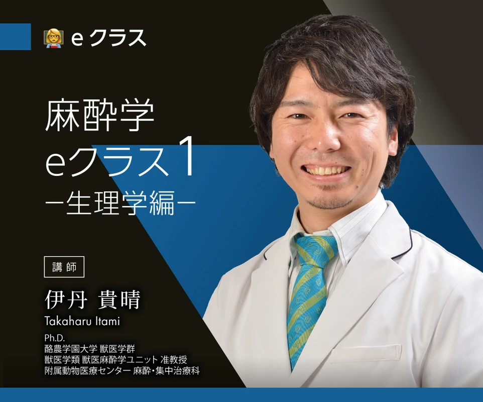 👩‍🏫 eクラス｜伊丹Dr./長濱Dr.の麻酔学eクラス1-生理学篇-〜麻酔モニタリングを知る〜 | VSJ CORE & ONE