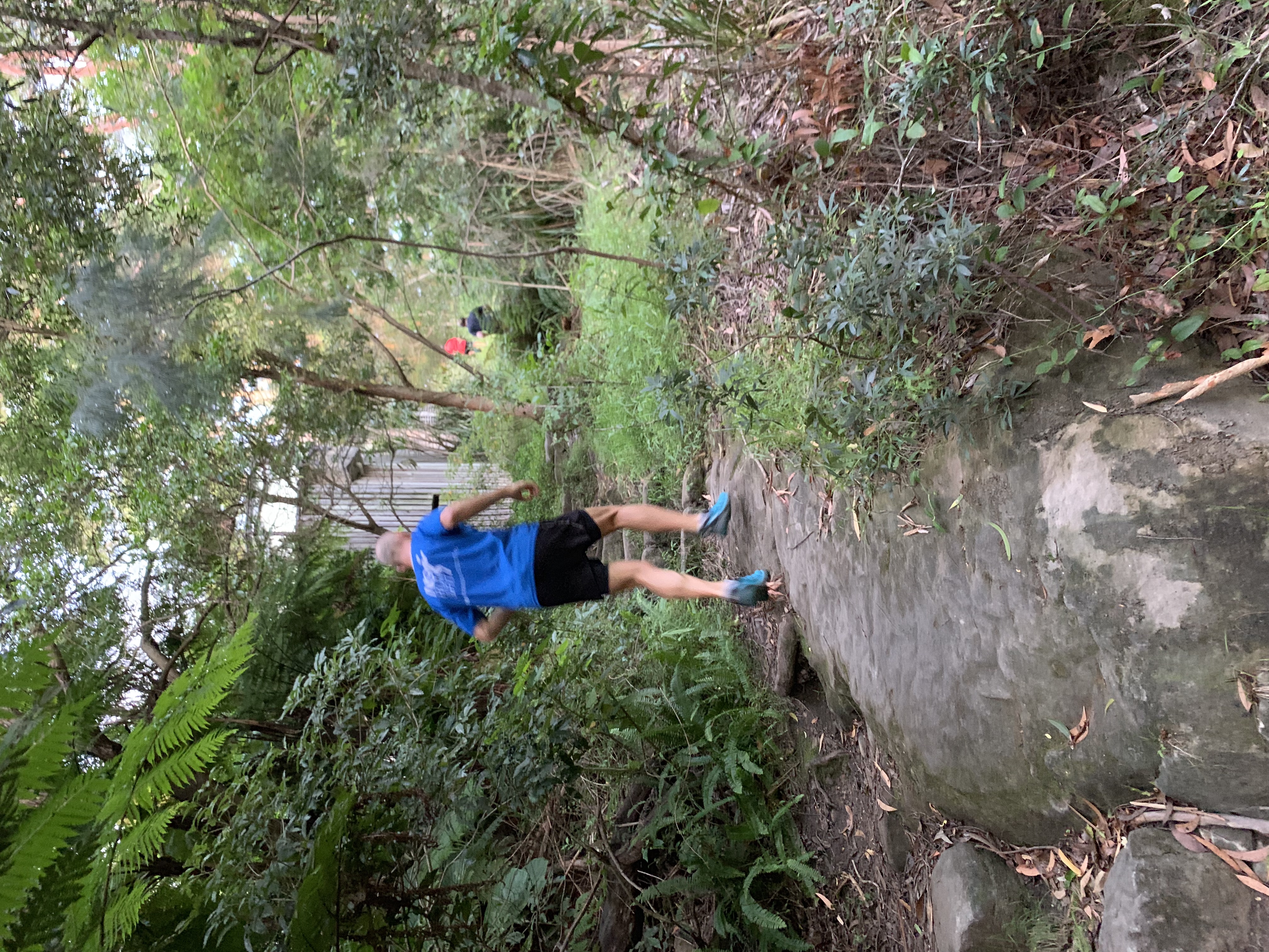 Blue Mountains Training Run