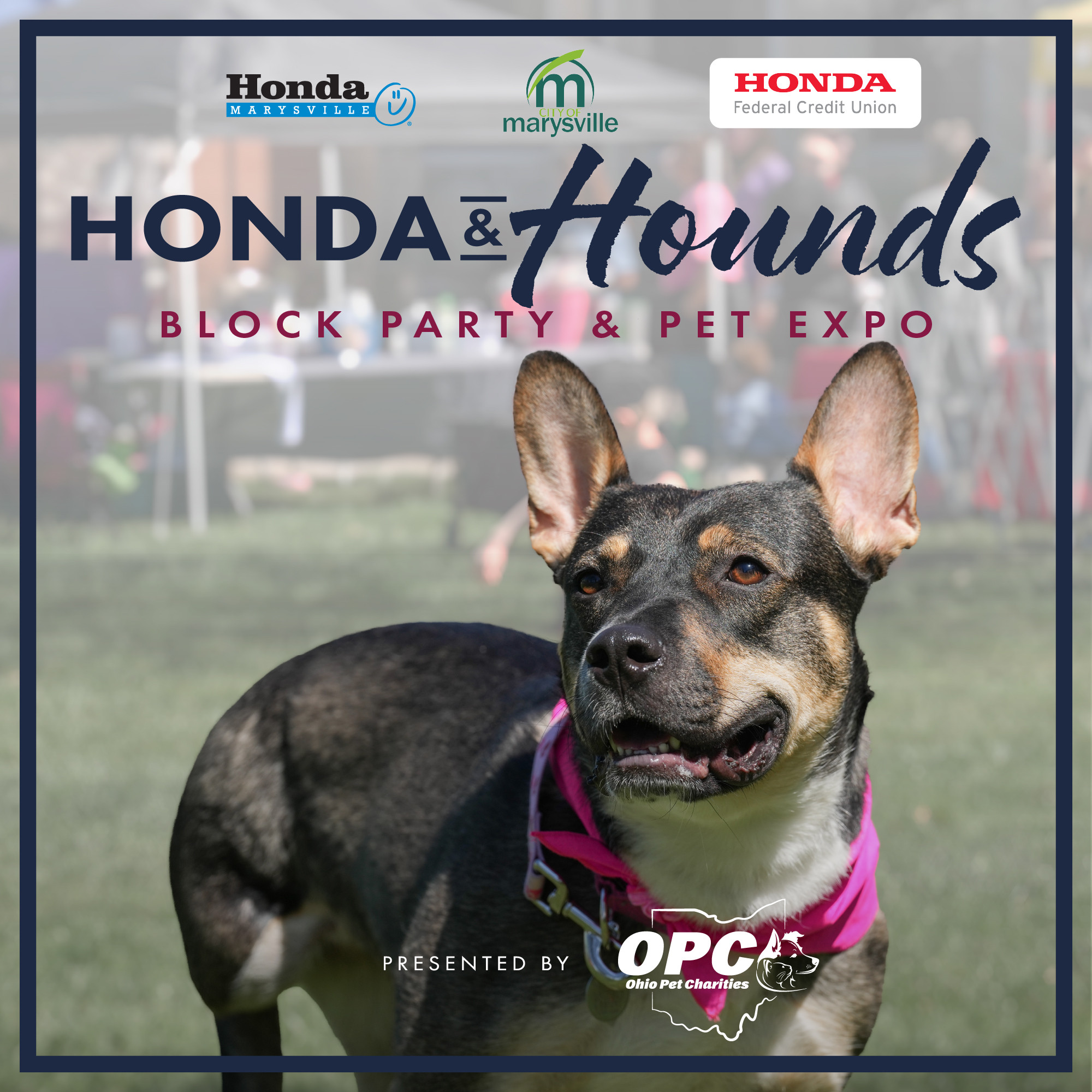 Honda & Hounds 2025 | Ohio Pet Charities