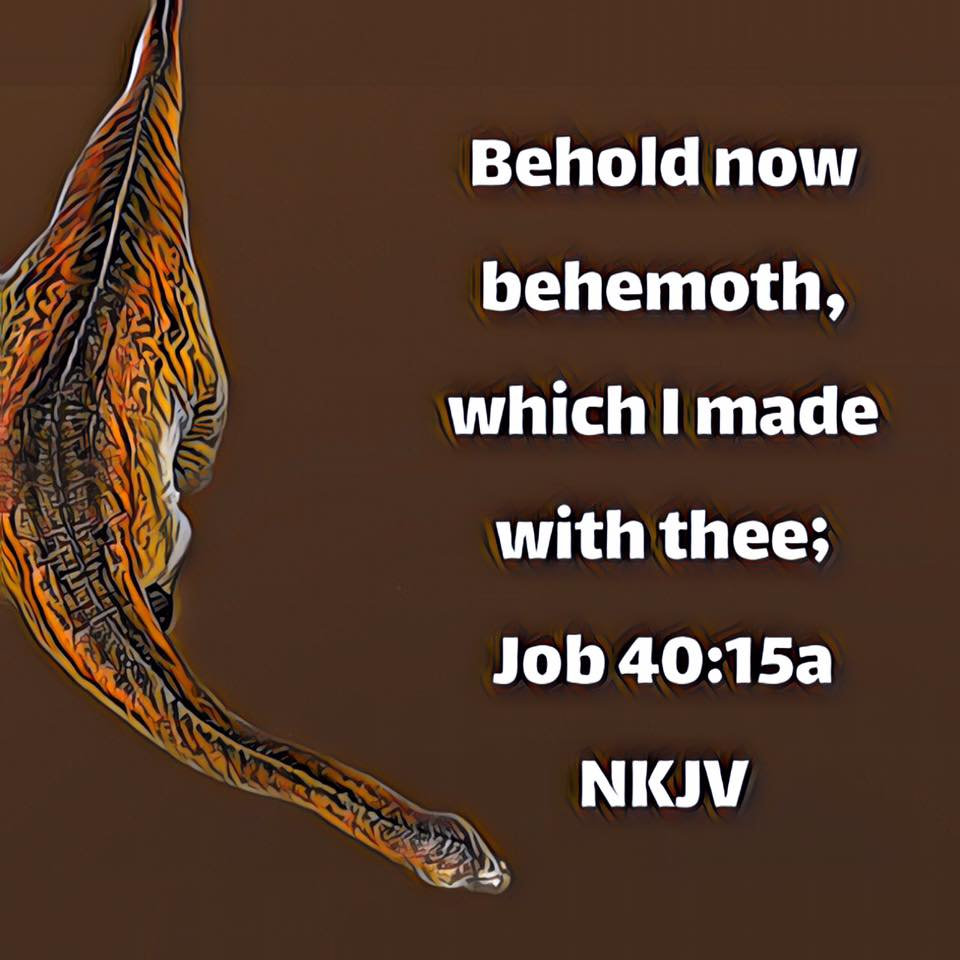 Behold, now, Behemoth!