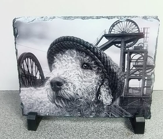 Printed clothing | Ashington Embroidery Services | Morpeth | Blyth ...