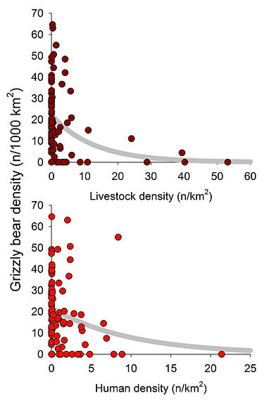 Bear density | All Grizzly Natural History