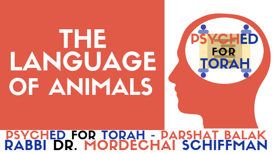 THE LANGUAGE OF ANIMALS