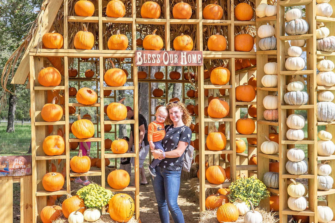 P-6 Farms - Houston's #1 Seasonal Festival Farm