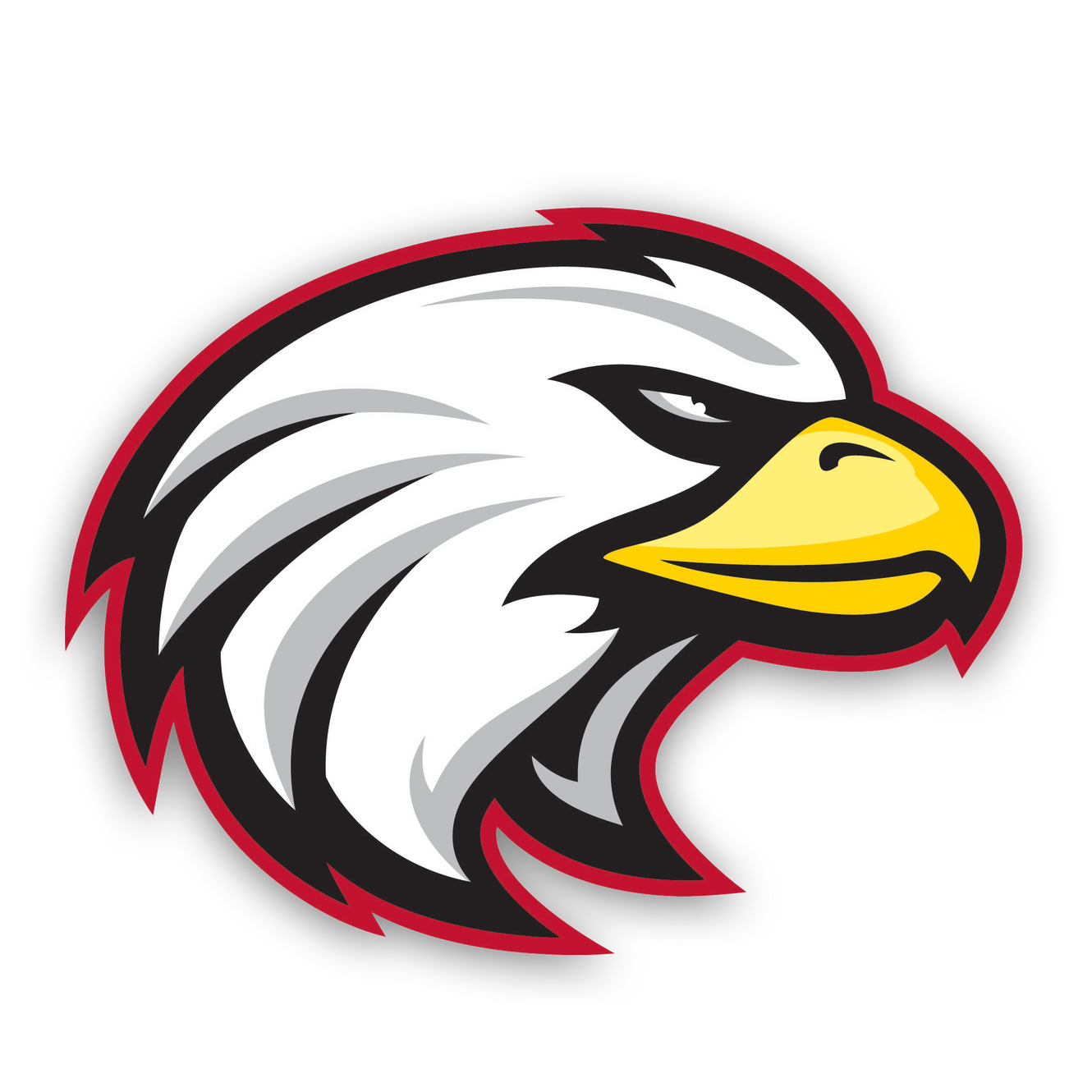 Focus Learning Academy & Focus North High School - Columbus Ohio