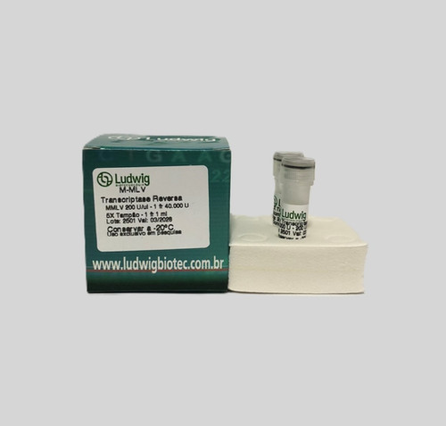 MMLV Transcriptase Reversa (RNase H-) 40.000 U | Ludwig Biotec