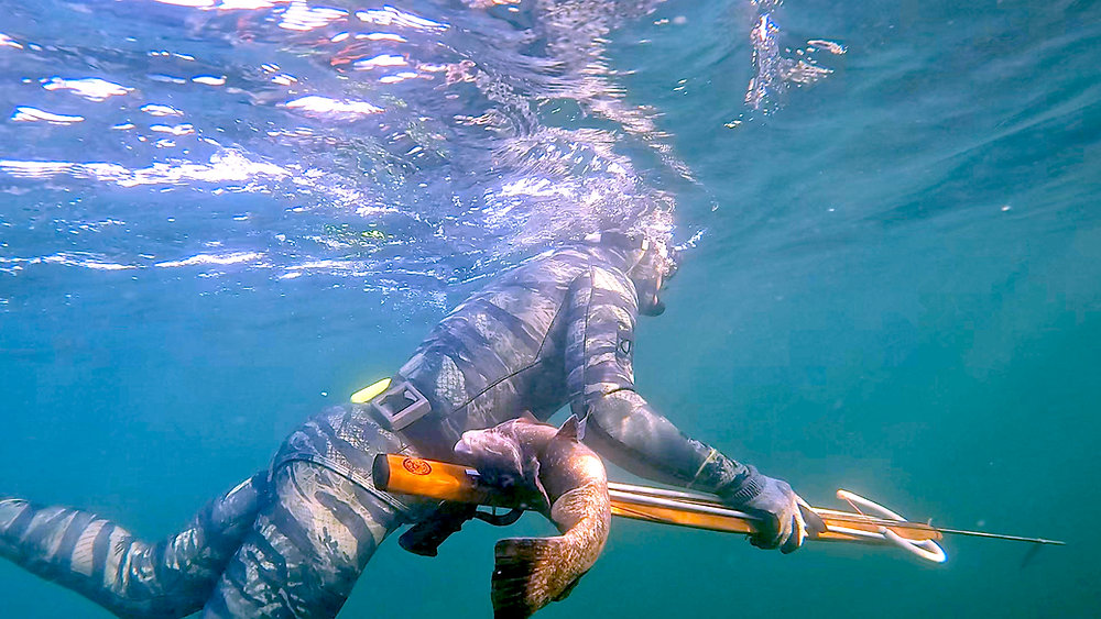 The Ultimate Guide For Spearfishing New Jersey