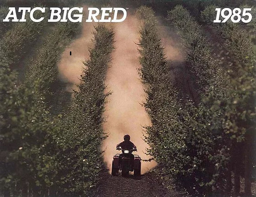 1985 Big Red Complete Kit | Blue Line Graphics