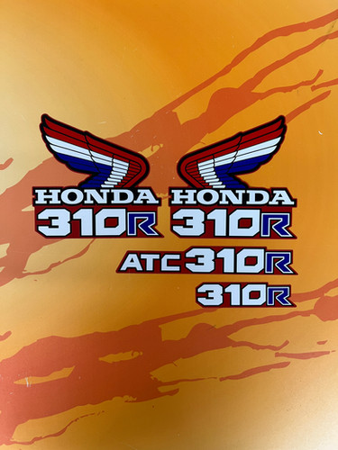 copy of 1985 "Style" 310R | Blue Line Graphics