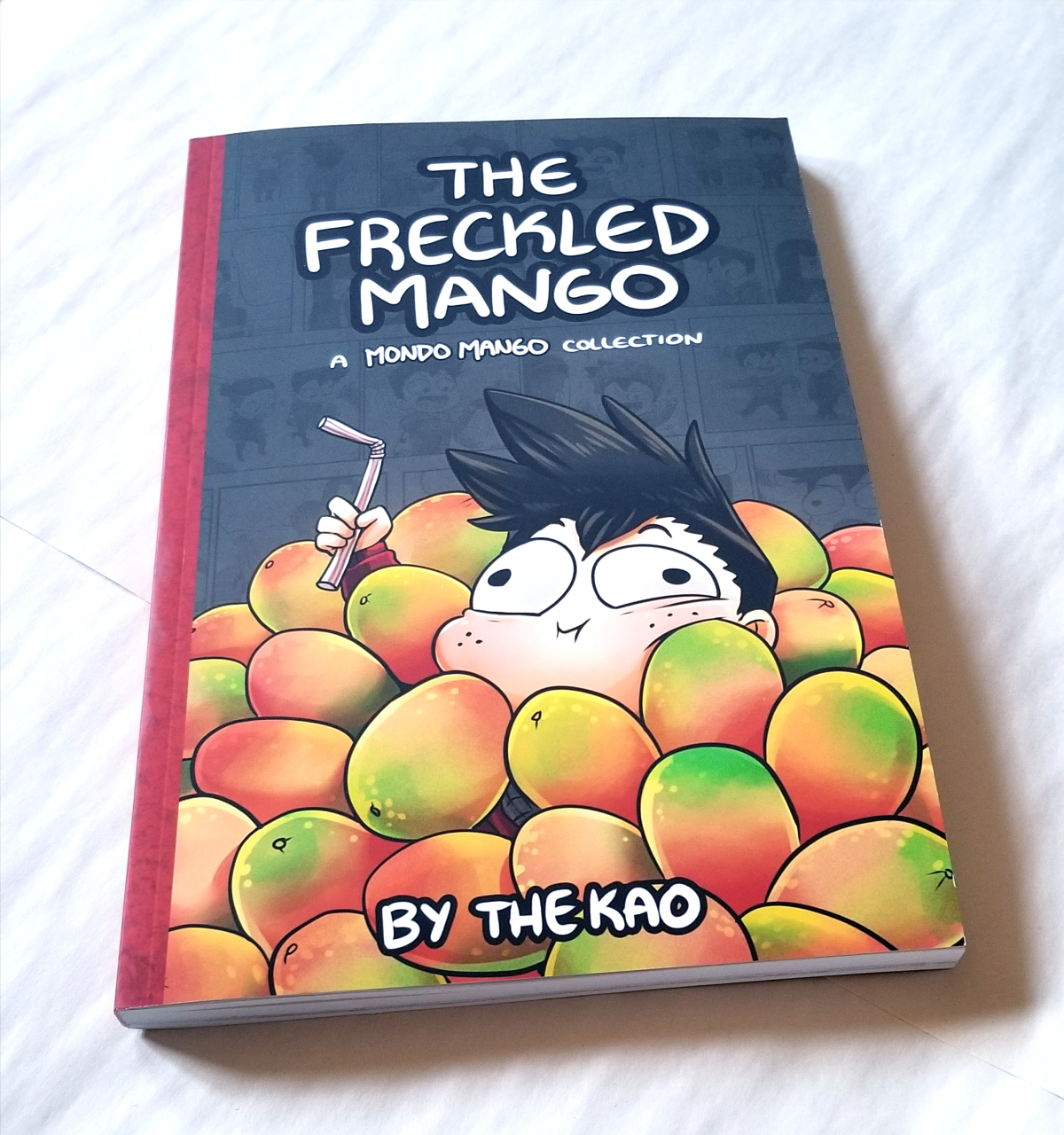 Mondo Mango Book | The Kao