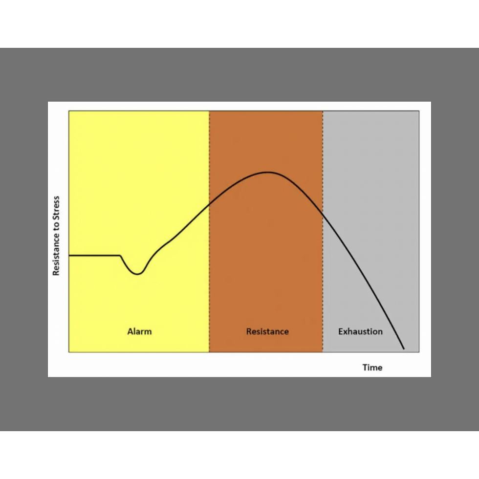 Understanding Stages of Stress | Optimum Body Therapy
