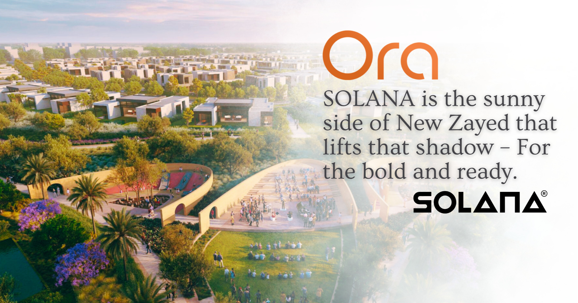 Project Solana | Ora Developers Egypt | idevelopmentz