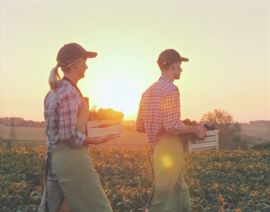 Organic Certification | Organic Certifiers