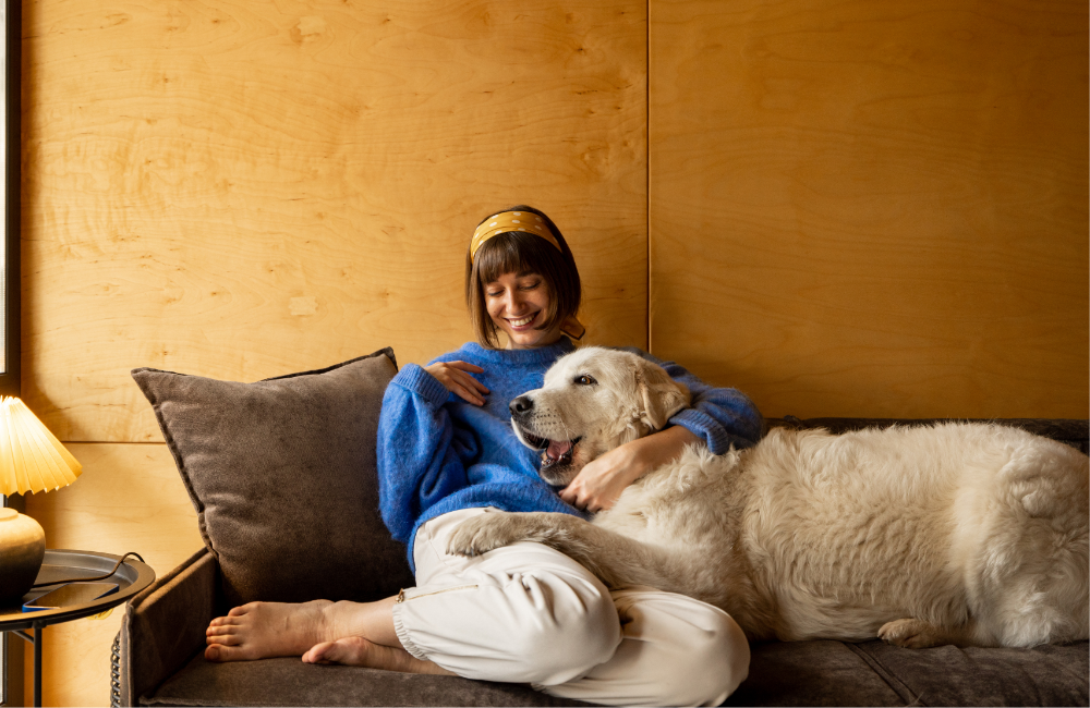 La relation entre l'humain et le chien