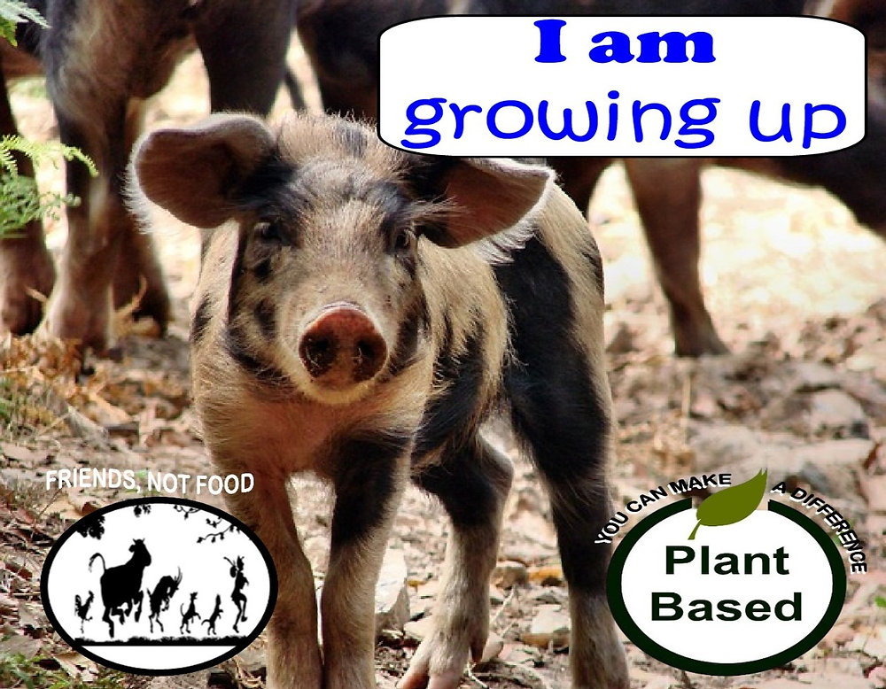 "I am growing up."