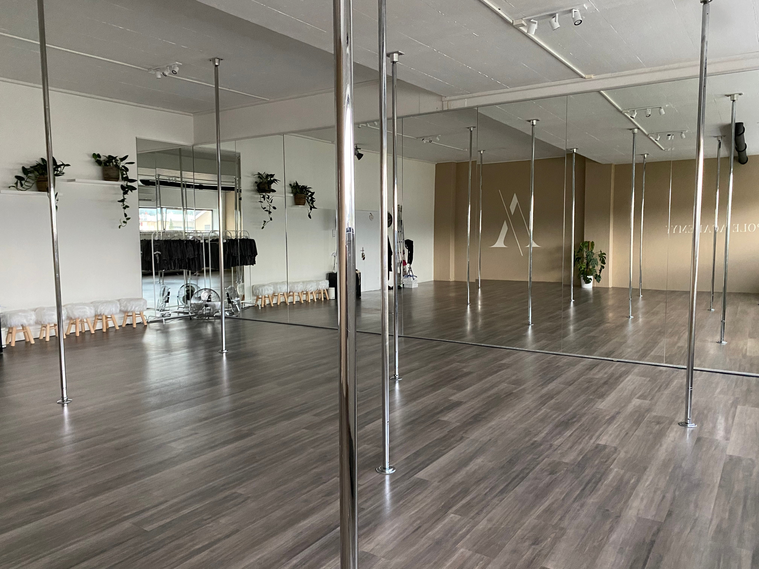 STEINEN | pole academy